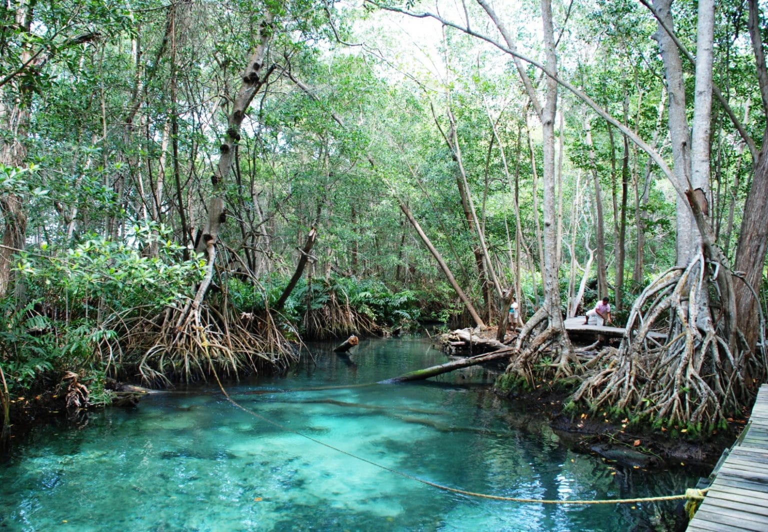Playa Celestún - Playas de Yucatan - Las mejores playas de Mexico
