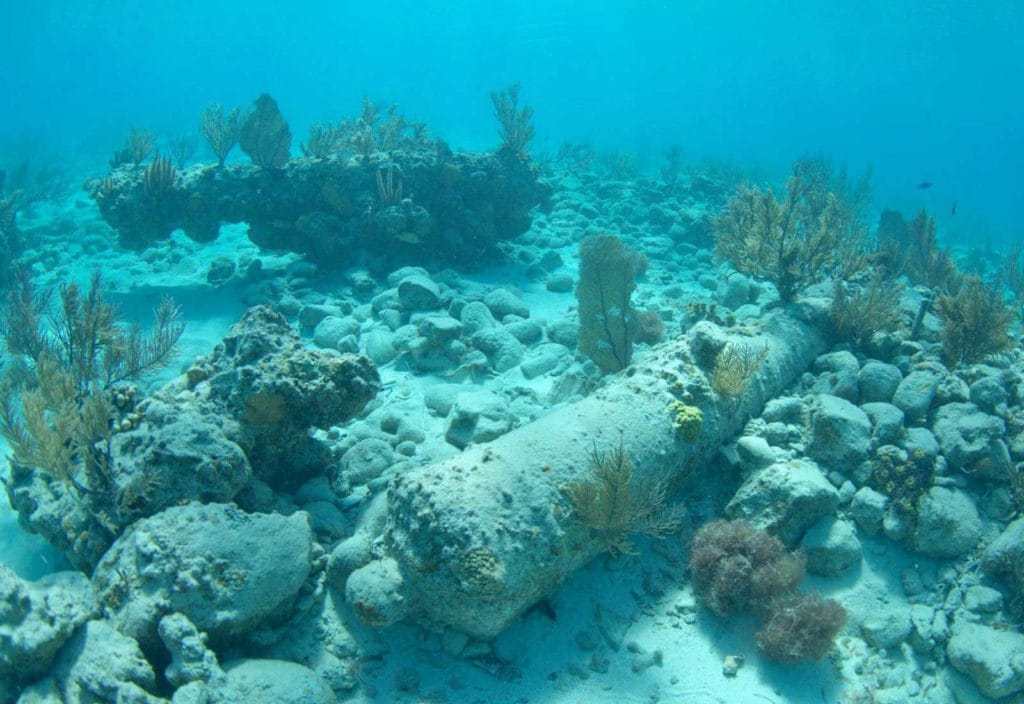 Reserva de la Biosfera Banco Chinchorro Articulos y tips de viaje sobre ...