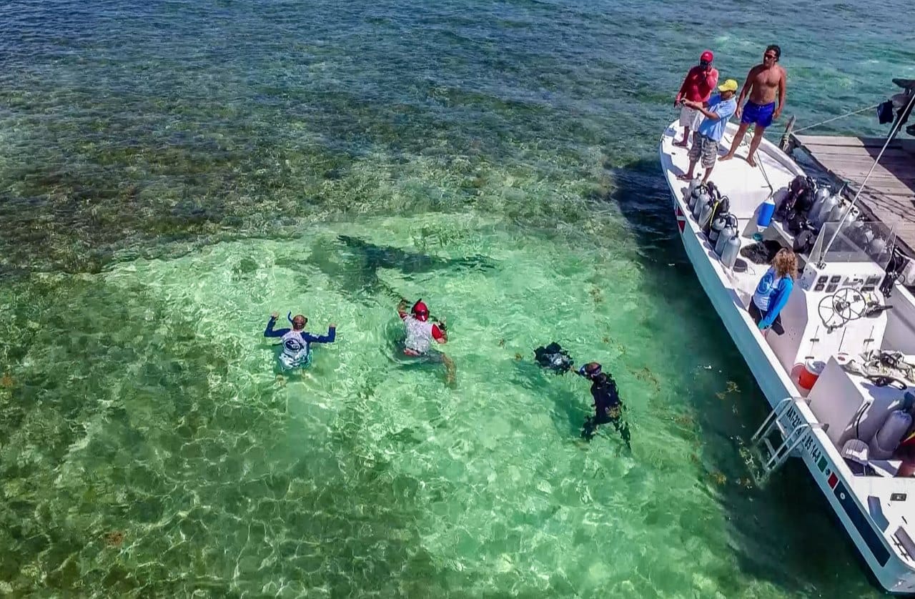 Reserva de la Biosfera Banco Chinchorro Articulos y tips de viaje sobre ...