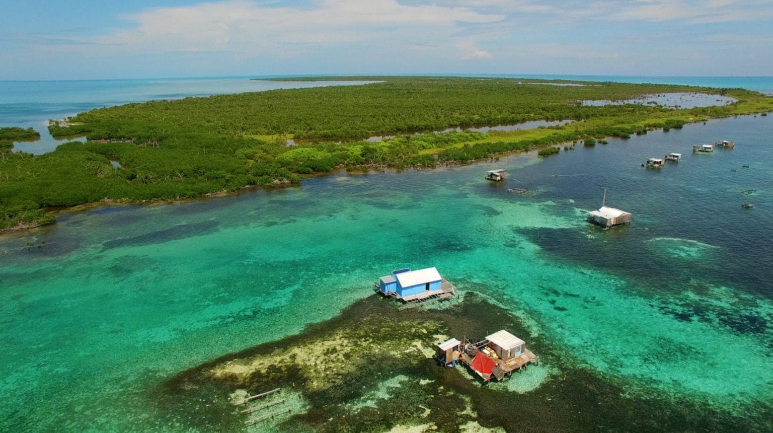 Reserva de la Biosfera Banco Chinchorro Articulos y tips de viaje sobre ...