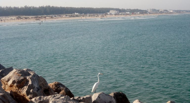 Miramar Tamaulipas Las mejores playas de Mexico