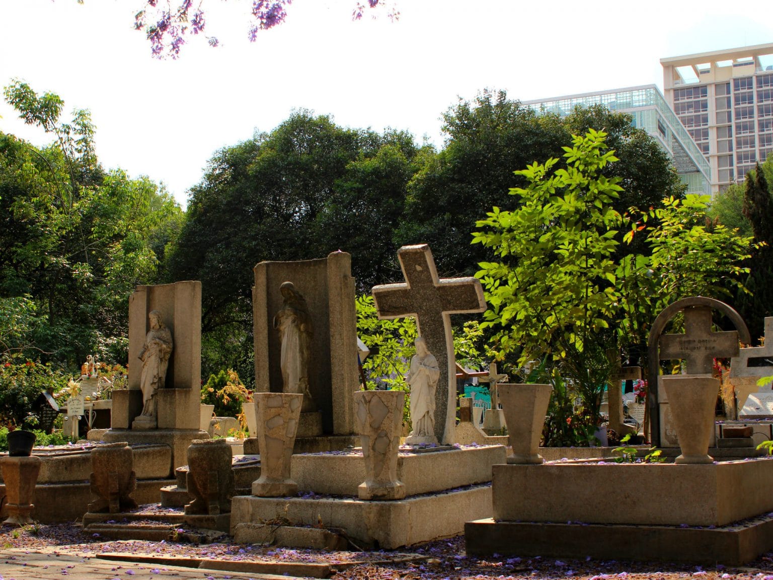 Cementerios famosos para visitar en México Articulos y tips de viaje ...