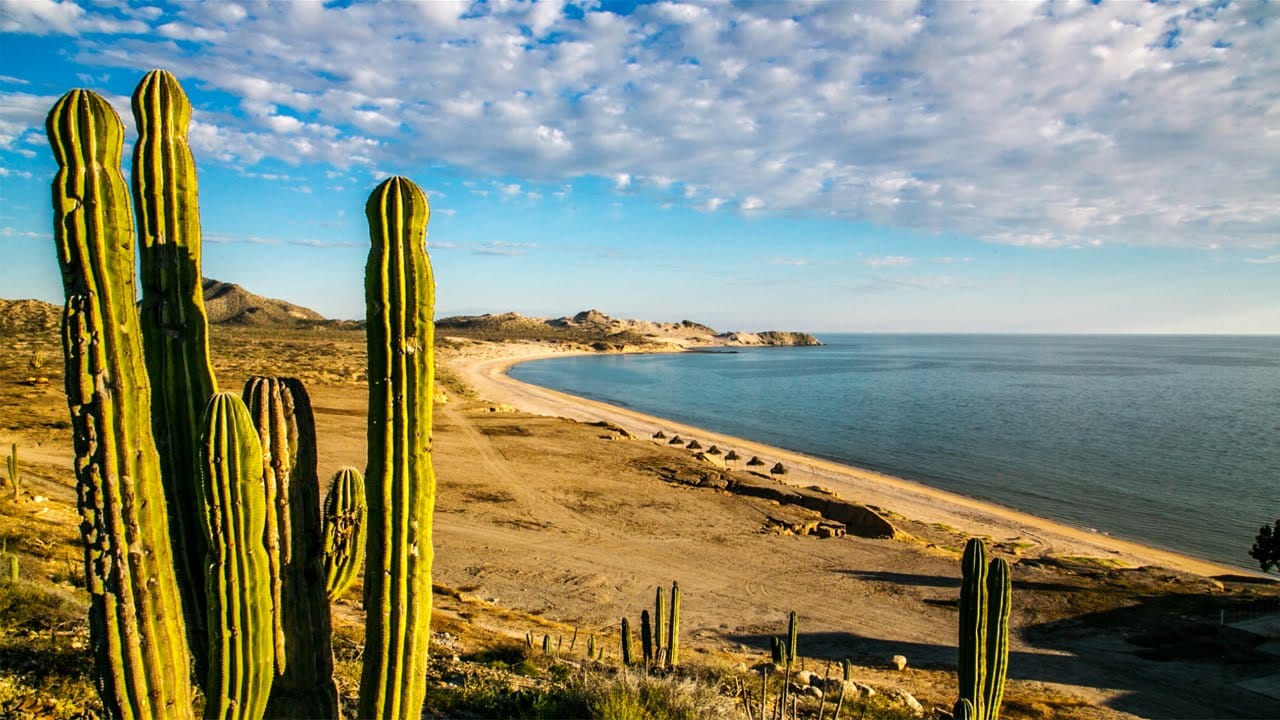 Visita la Catedral de Hermosillo en el estado de Sonora Articulos y ...