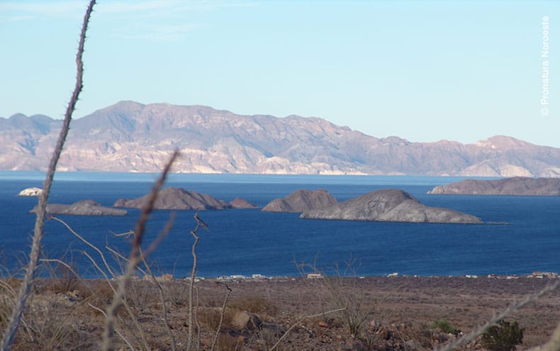 Bahia de los Angeles Baja California Las mejores playas de Mexico