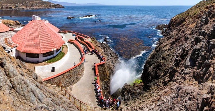 La Bufadora Baja California Las Mejores Playas De Mexico
