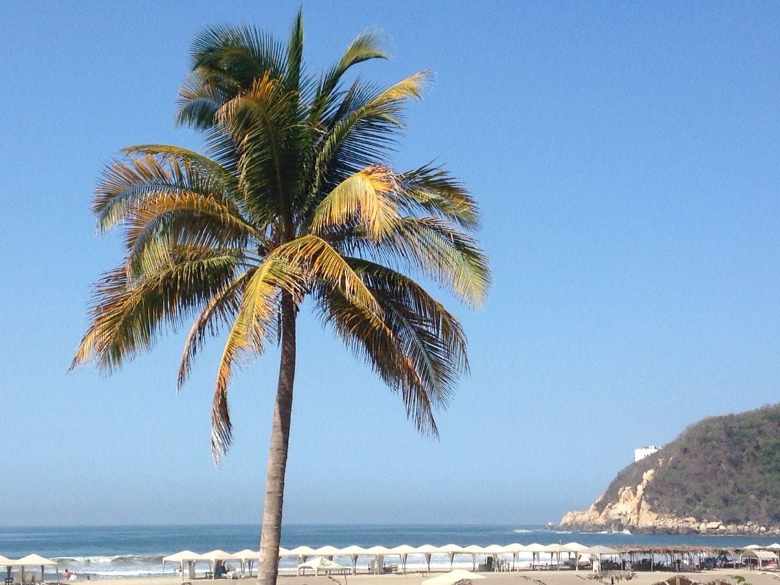 Pichilingue Guerrero
