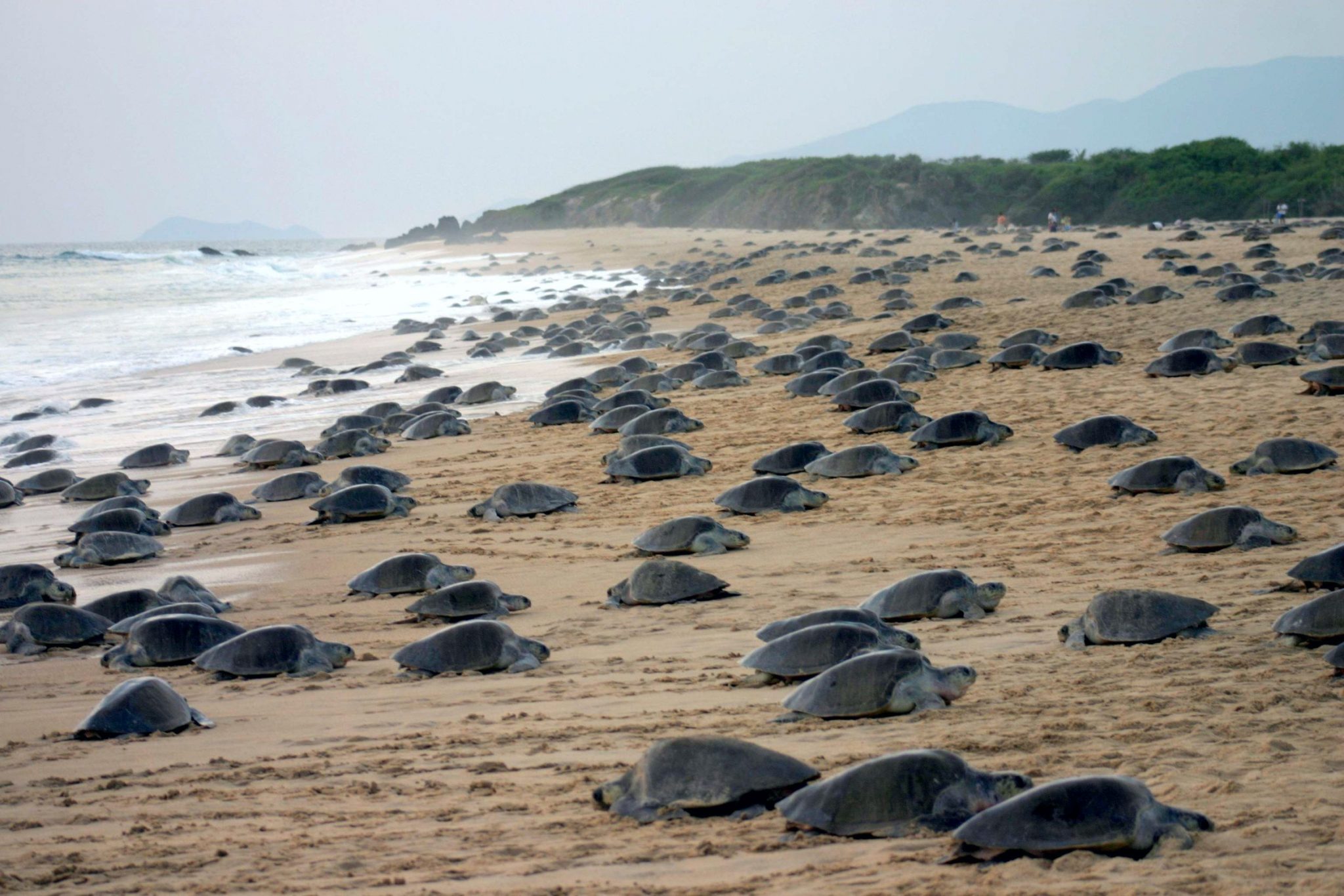 La Ticla Michoacan Las mejores playas de Mexico