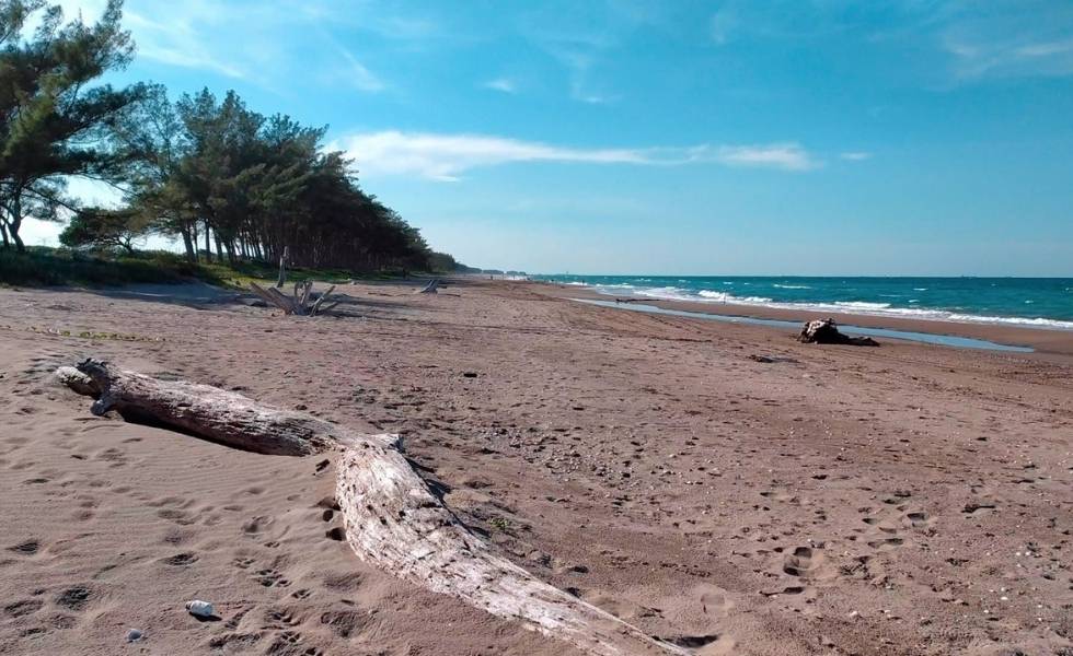 Playa de Tuxpan Veracruz Las mejores playas de Mexico