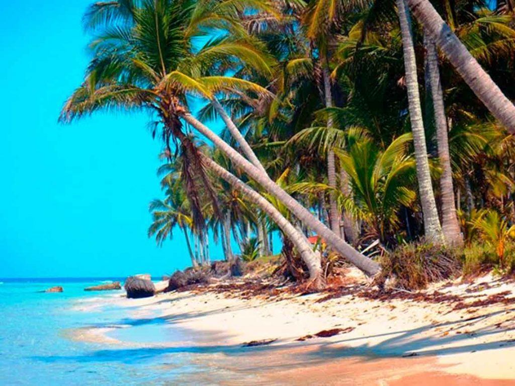 Tamiahua - Playas de Mexico