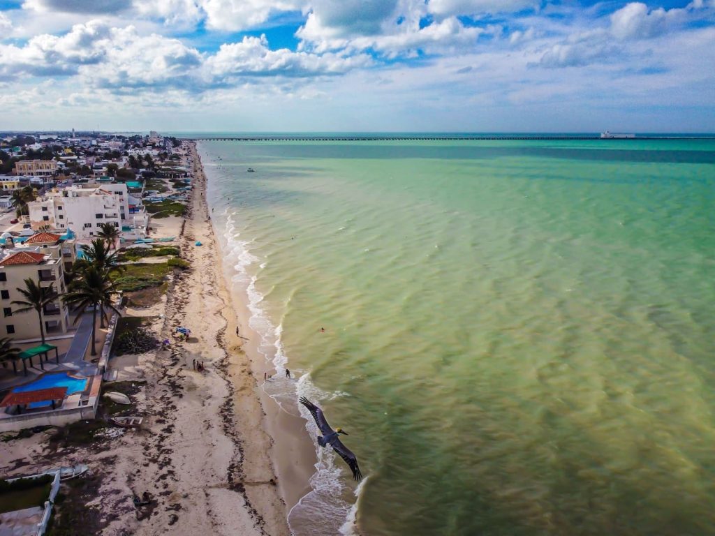 Chicxulub Yucatan Las Mejores Playas De Mexico