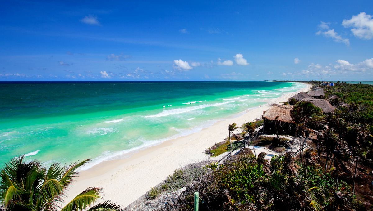 Boca Paila Quintana Roo Las mejores playas de Mexico