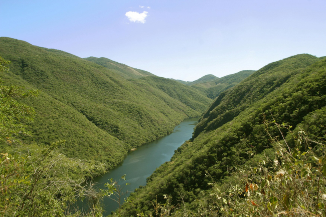 Reserva de la biosfera Zicuirán Infiernillo, Michoacán Articulos y tips ...