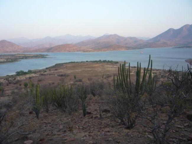 Reserva de la biosfera Zicuirán Infiernillo, Michoacán Articulos y tips ...