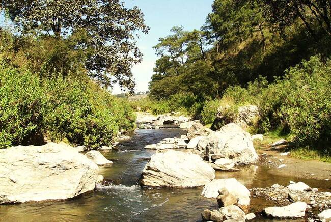 Reserva de la biosfera Zicuirán Infiernillo, Michoacán Articulos y tips ...