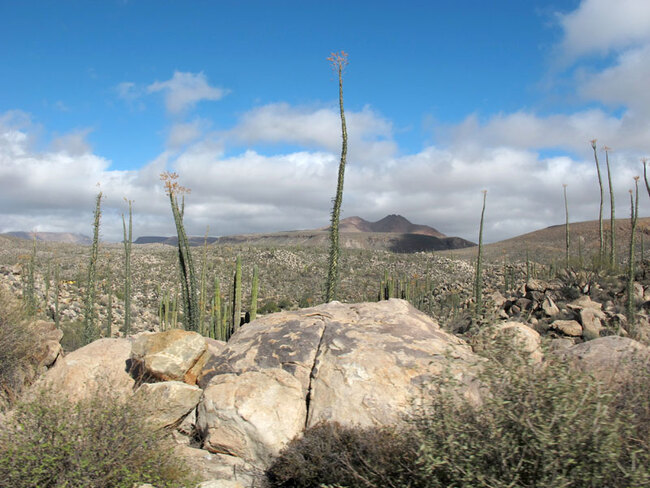 Reserva de la biosfera Zicuirán Infiernillo, Michoacán Articulos y tips ...