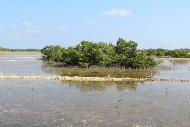 Isla de Jaina, Campeche Articulos y tips de viaje sobre Playas en ...