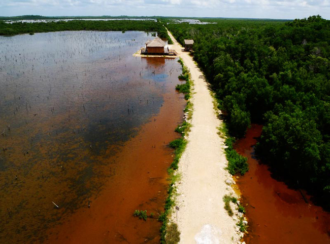 Isla de Jaina, Campeche Articulos y tips de viaje sobre Playas en ...