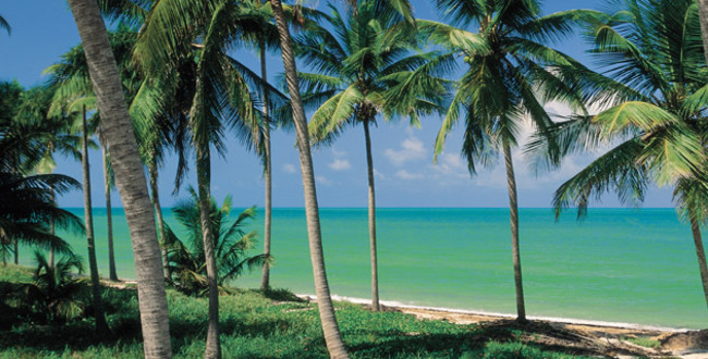 Lo que debes saber de Champotón Articulos y tips de viaje sobre Playas ...