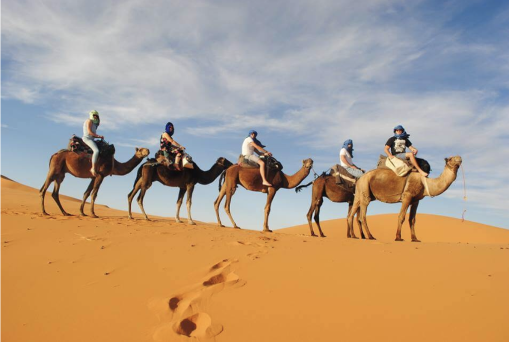 Tours por el Desierto de Marrakech: Articulos y tips de viaje sobre ...